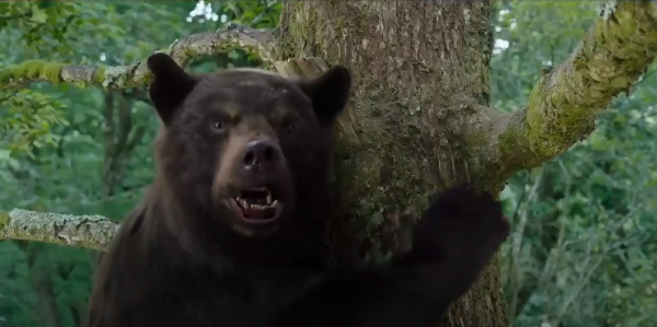 O Urso do Pó Branco é a estreia da semana nos cinemas